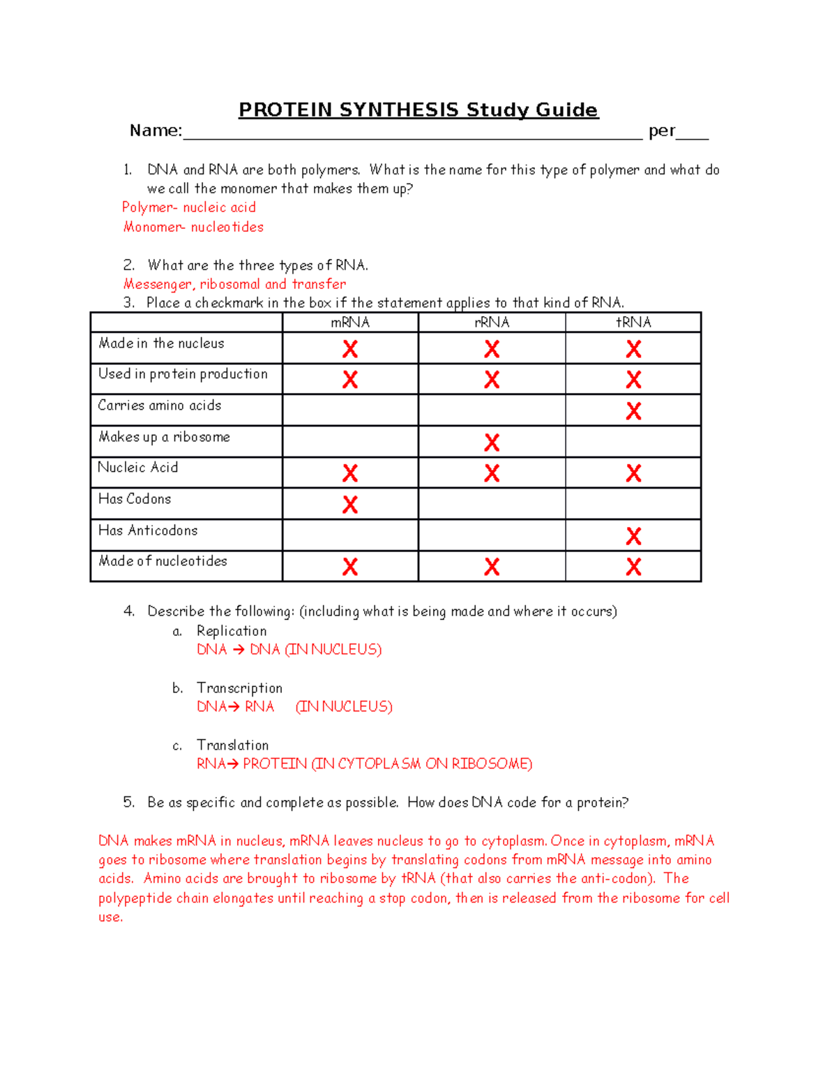 2011 Protein Synthesis Study Guide key - PROTEIN SYNTHESIS Study Guide ...