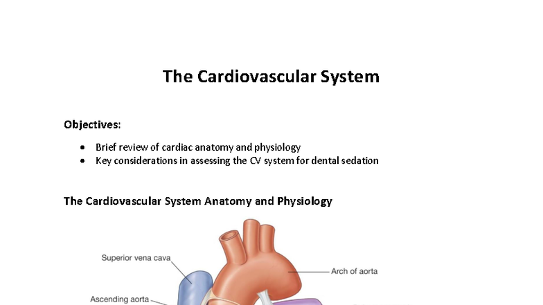 Cardiovascular System Overview: Anatomy, Assessment & Key Metrics - Studocu