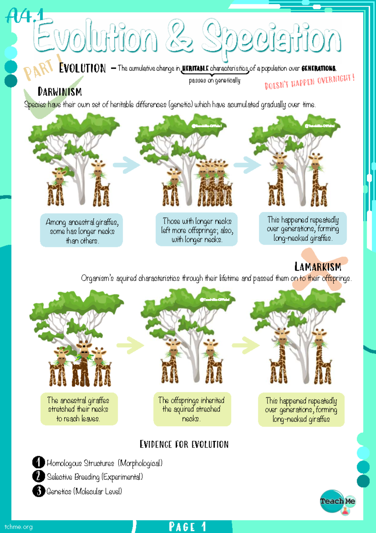 Understanding Evolution: Natural Selection & Adaptation Concepts (HL ...