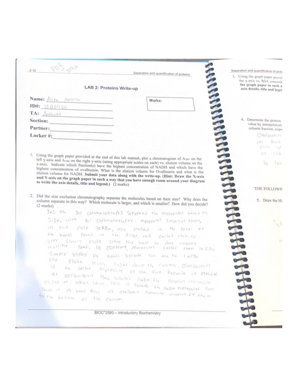LAB 2: Separation and Quantification of Proteins (Introductory ...
