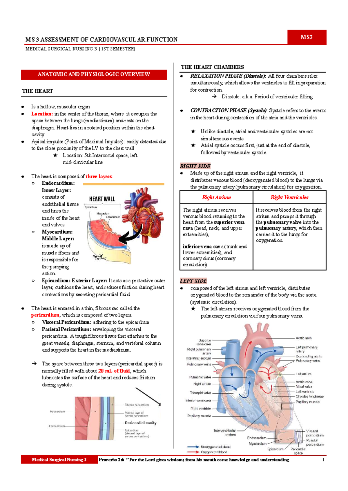 MS3 Anatomy and Physiology of Cardiovascular Function in Nursing - Studocu