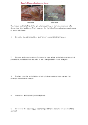 General Guide to Describe and Interpret Gross and Histopathological ...