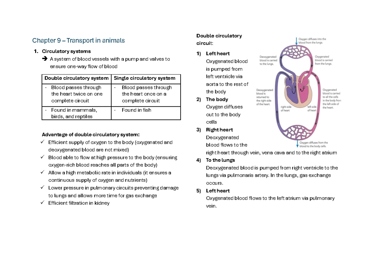 Chapter 9 Transport in Mammals: Circulatory Systems Overview - Studocu
