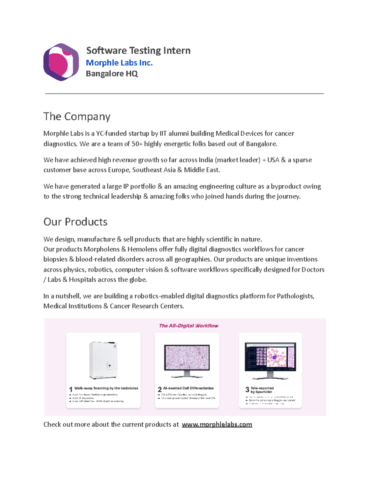 Software Testing Intern Role Overview at Morphle Labs (YC W20) - Studocu