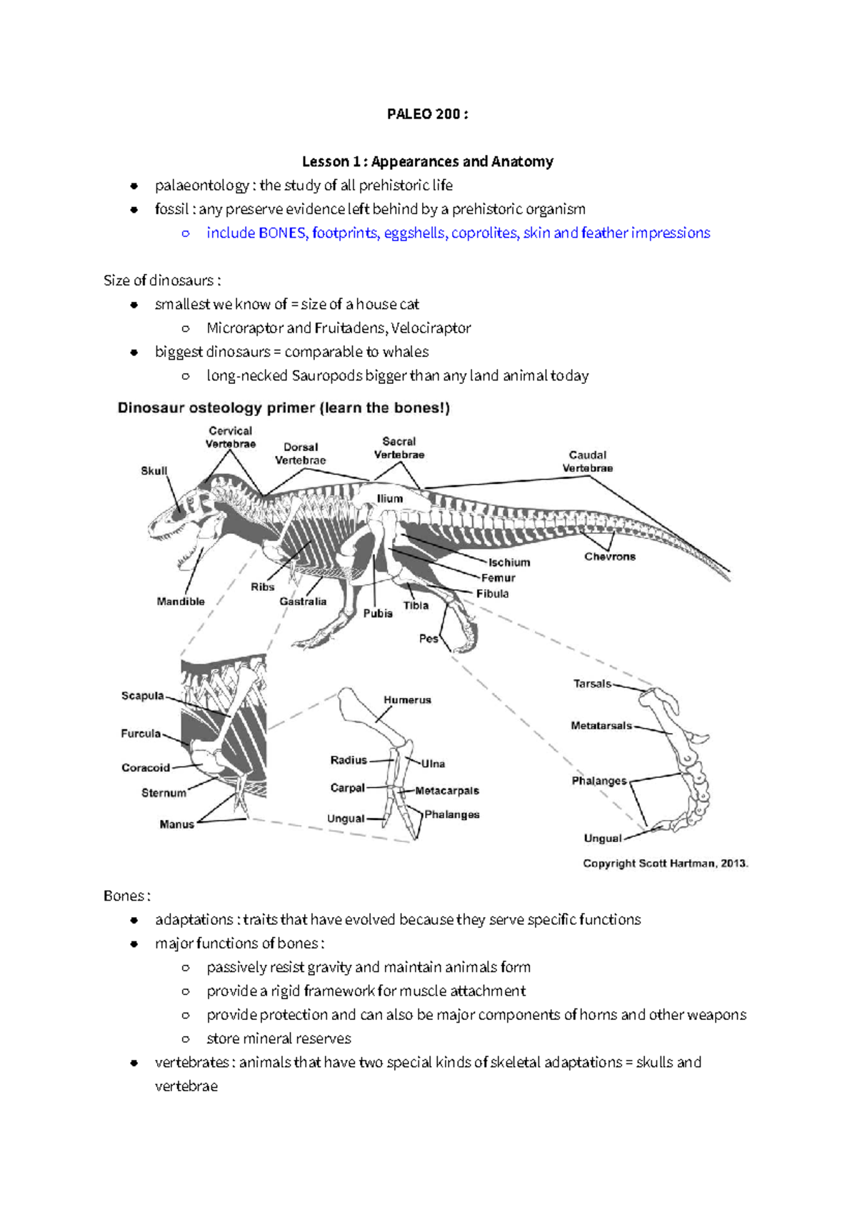 PALEO 200: Midterm Summary on Dinosaur Anatomy and Fossilization - Studocu