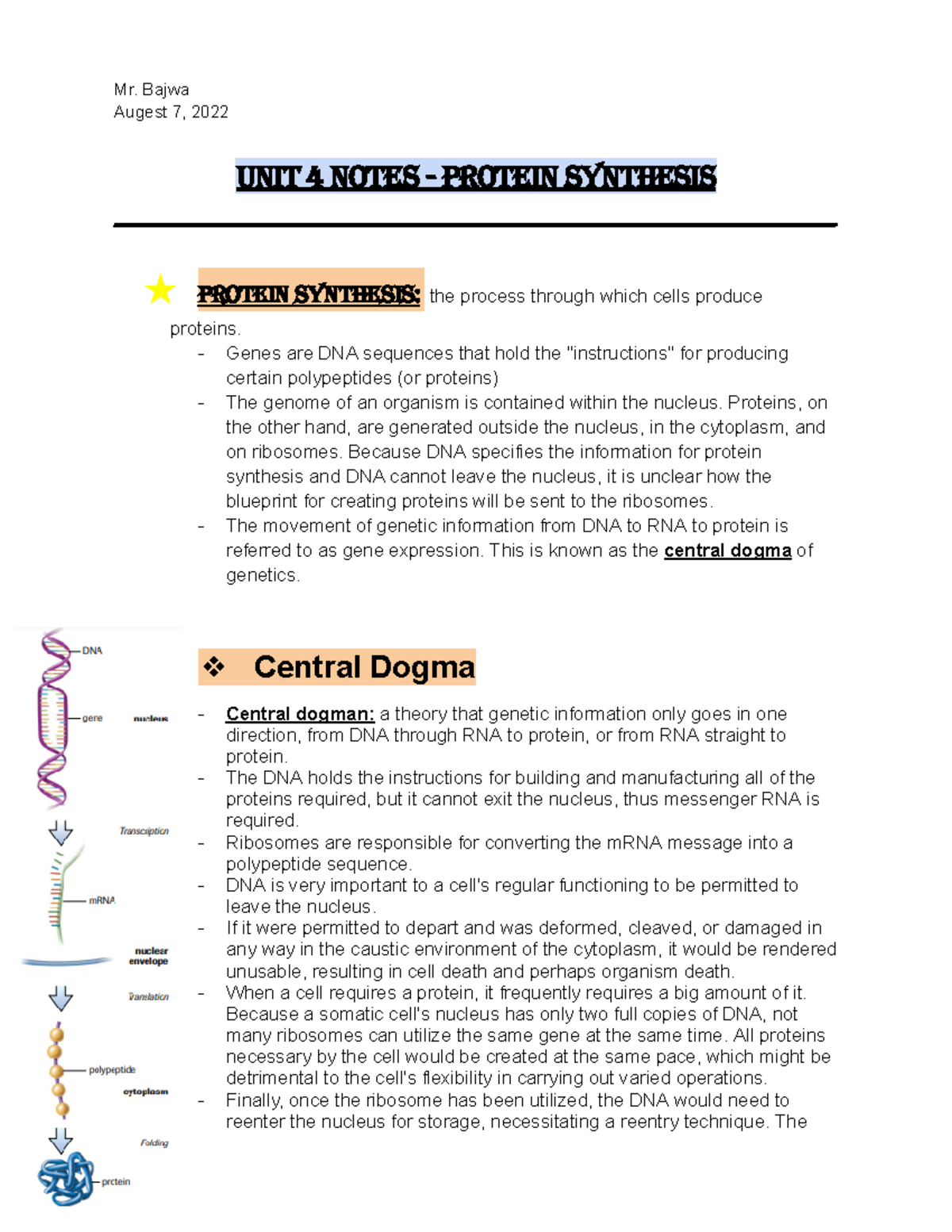 Unit 4 Summary - Protein Synthesis Overview and Central Dogma - Studocu