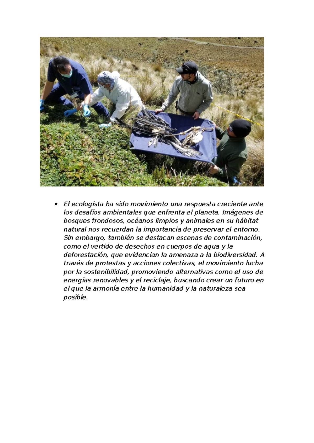 Estudios sobre el Movimiento Ecologista y Sostenibilidad - Studocu