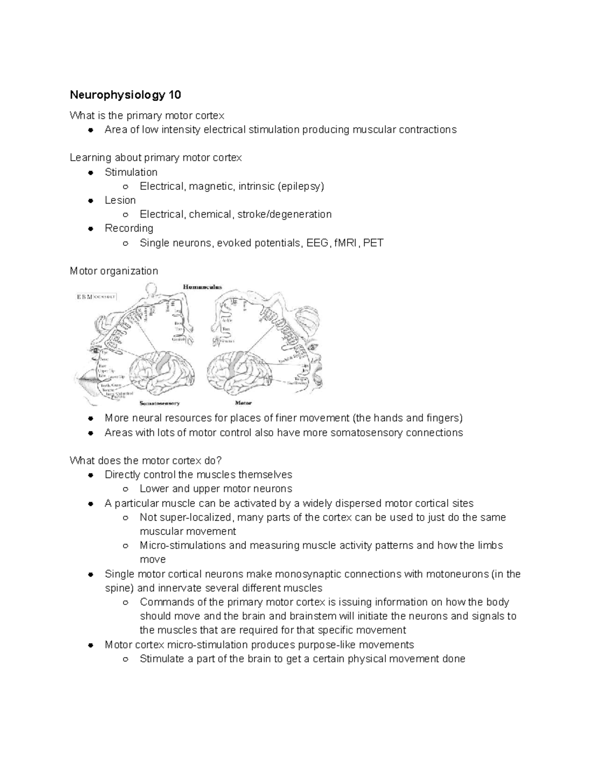 Neurophysiology 10: Midterm 2 Study Guide on Motor Cortex and ANS - Studocu