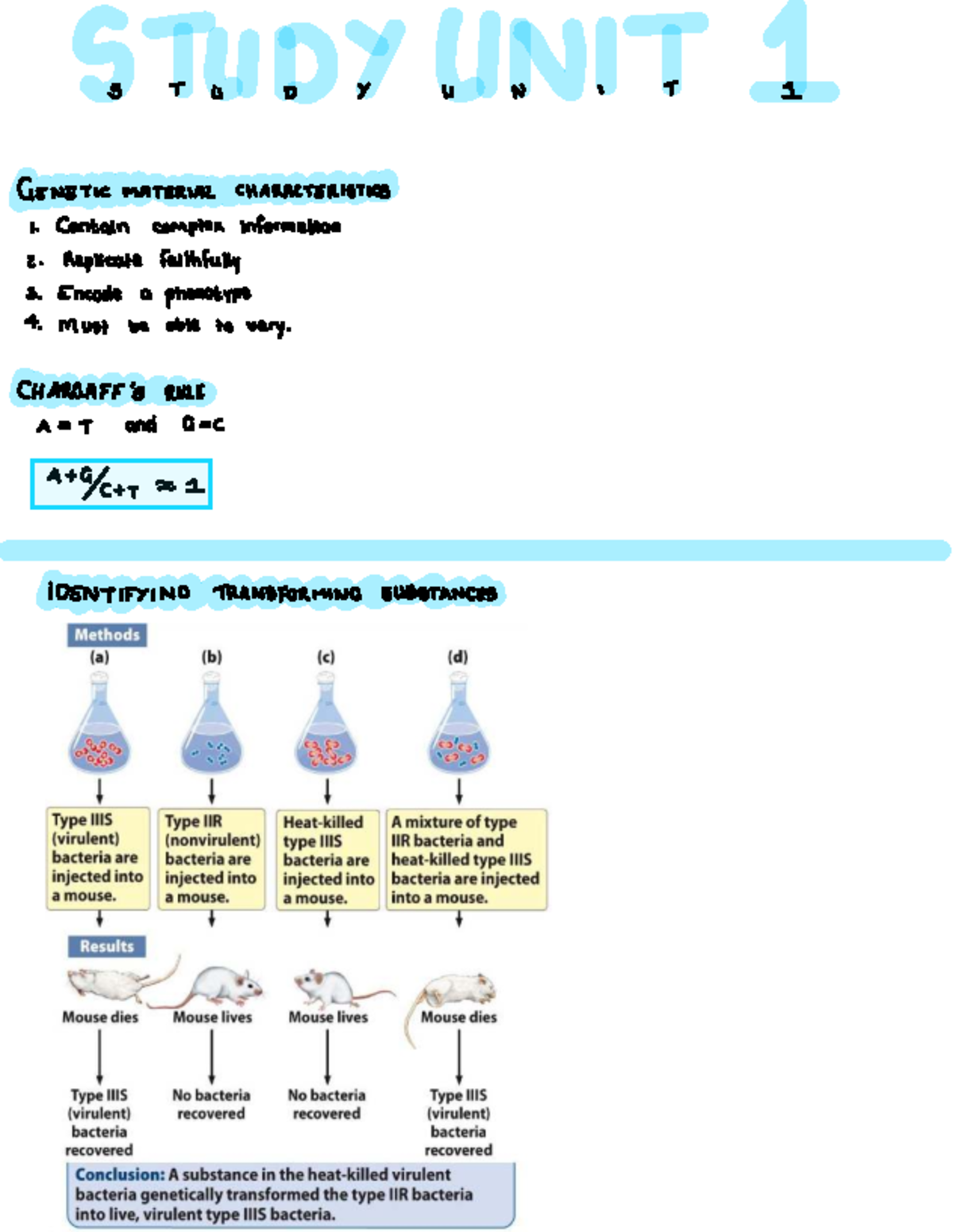Study unit 1 - Short summaries of SU1 for GTS 251 - GTS 251 - ST 11 D Y ...