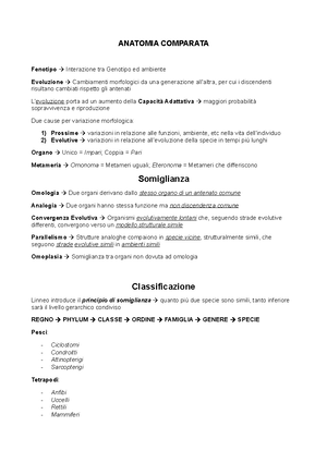 UniRoma3 - Università degli Studi Roma Tre - Studocu