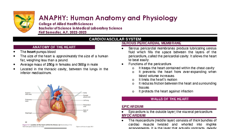 ANAPHY: Cardiovascular System - Final Exam Notes for B.S. in Medical ...