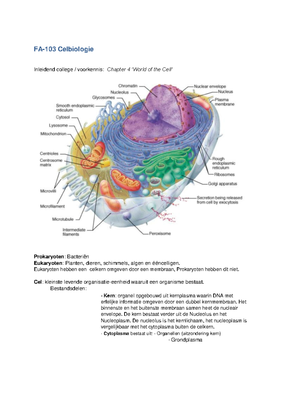 FA-103 Celbiologie: Overzicht van Celstructuur en Transportmechanismen ...