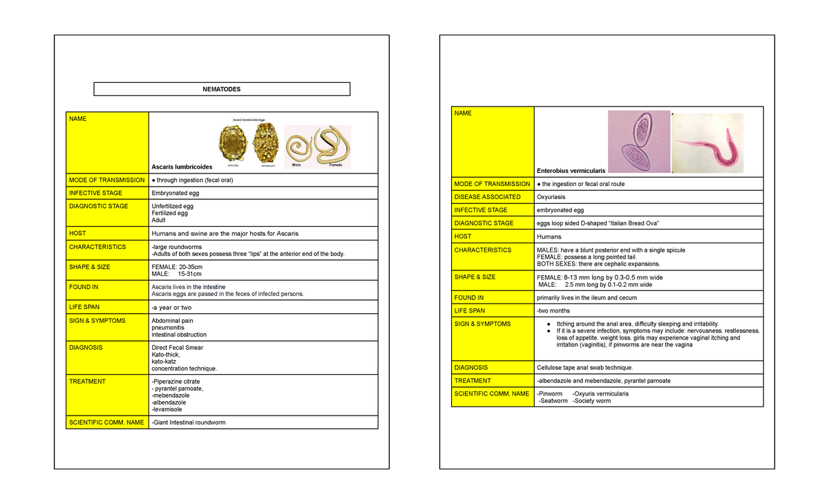 Parasitology Study Notes: Nematodes Overview for Course PAR 101 - Studocu