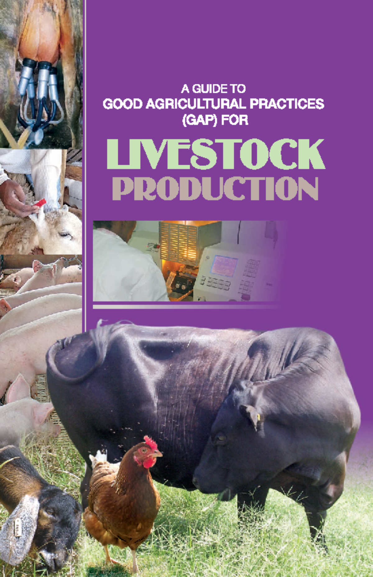 GAP Livestock Production Manual 2017: Best Practices Guidelines - Studocu