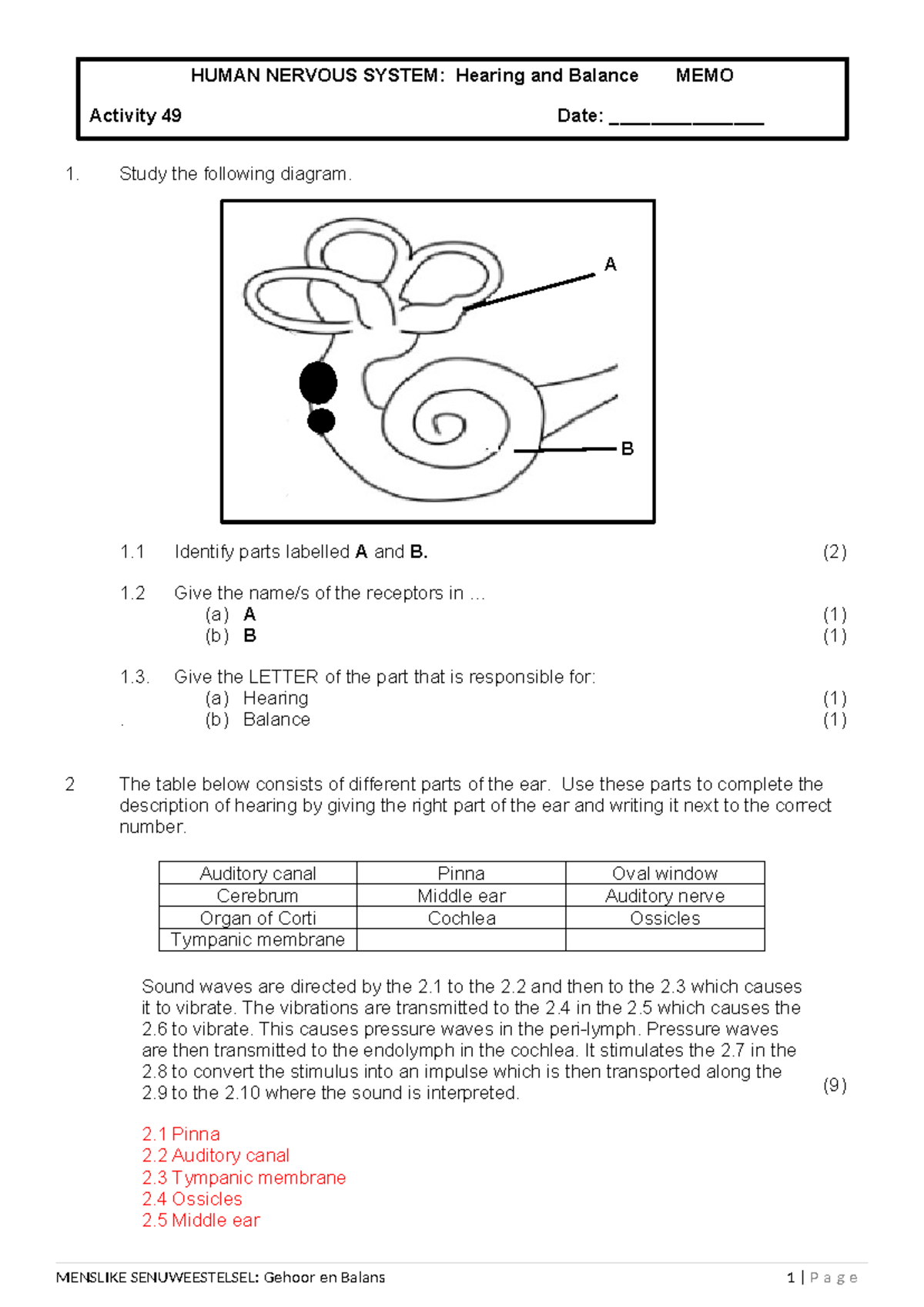 Activity 49 Hearing and Balance 1713171344 - 1. Study the following ...