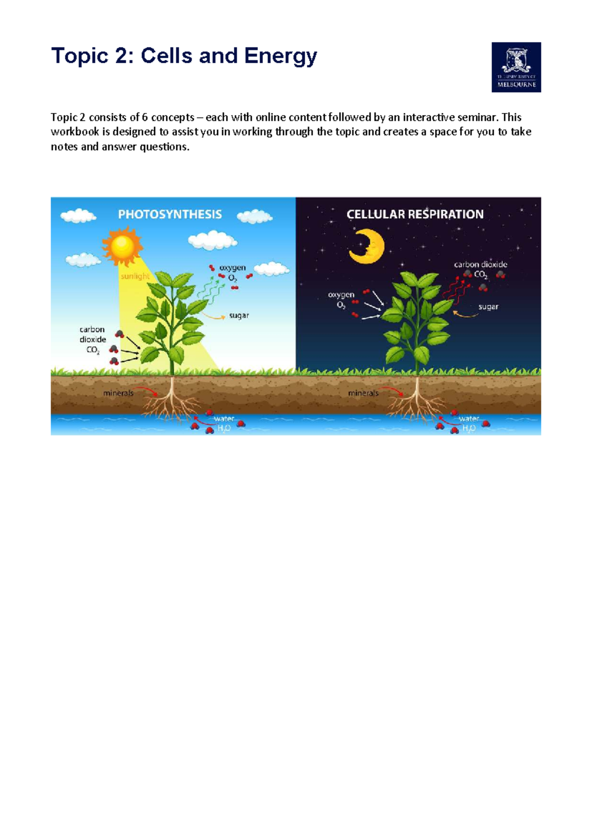 Topic 2: Cells and Energy - Comprehensive Workbook for Concepts 7-11 ...