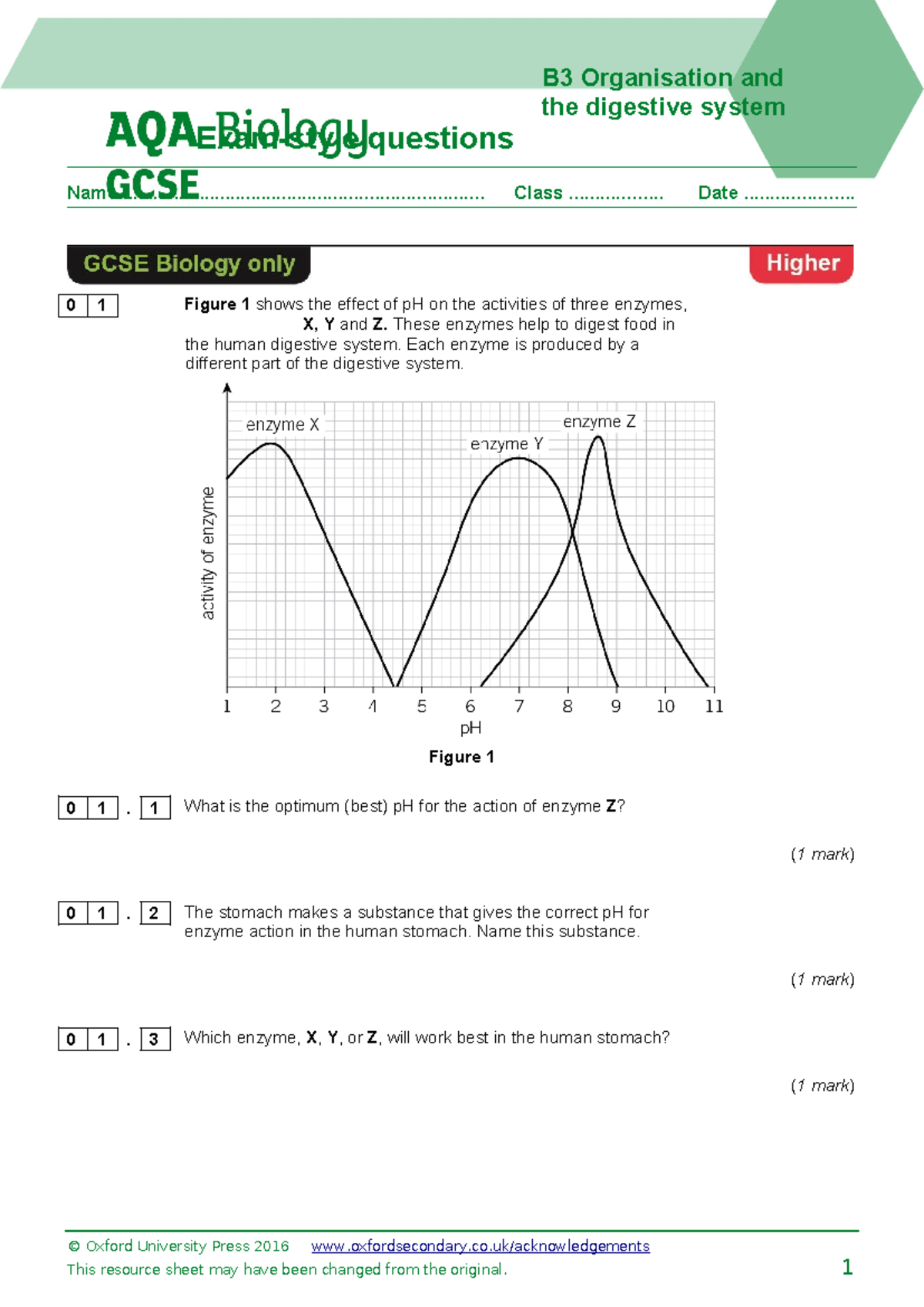 B3 Digestive System - Exam-style Questions & Practice for Good ...