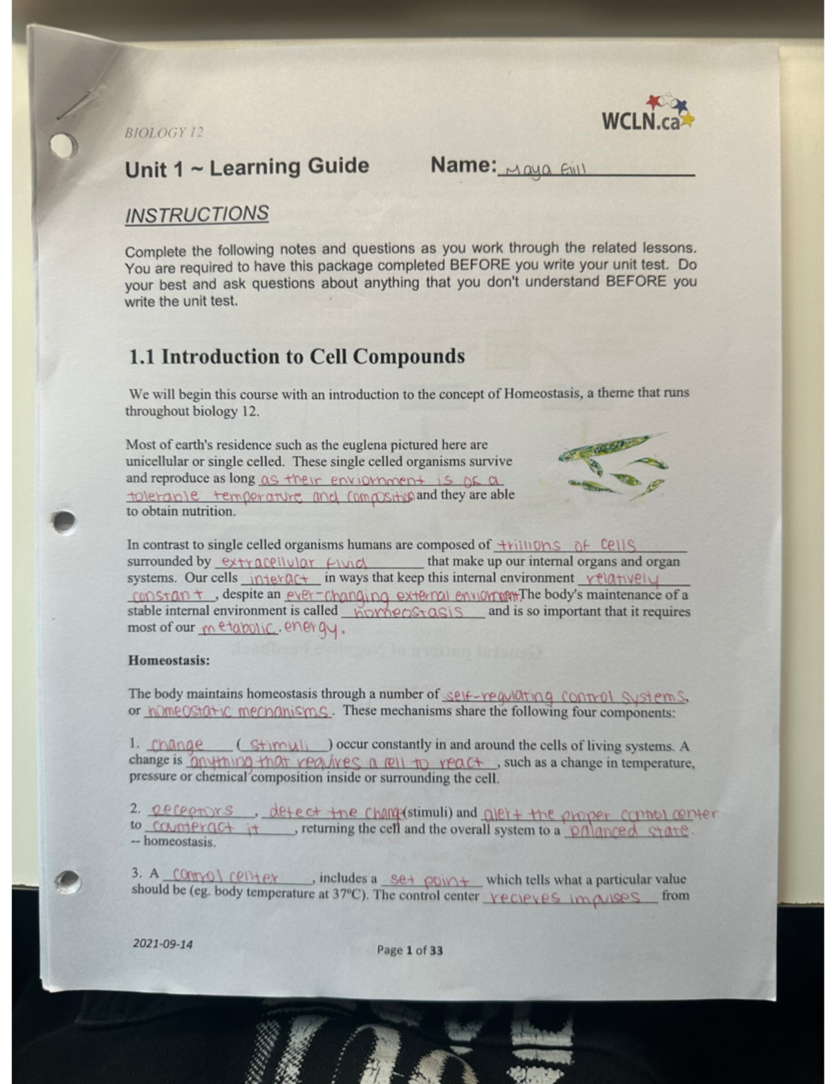 Analysis of [Course Code] Class Material: Overview and Insights - WCLN ...