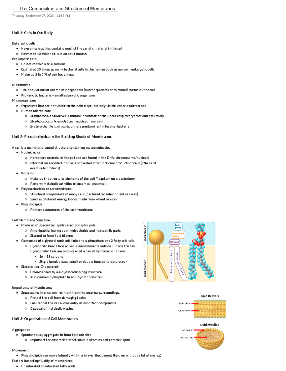 Bio 1A03: Comprehensive Notes on Cell Membrane Structure & Function ...