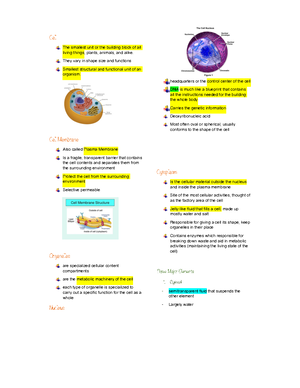 Anne boykin & savina schoenhofer - ANNE BOYKIN AND SAVINA O ...
