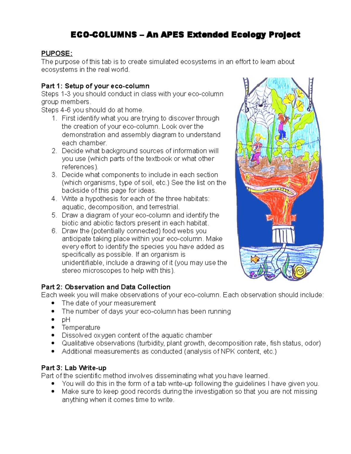 Ecocolumn project - ECO-COLUMNS – An APES Extended Ecology Project ...