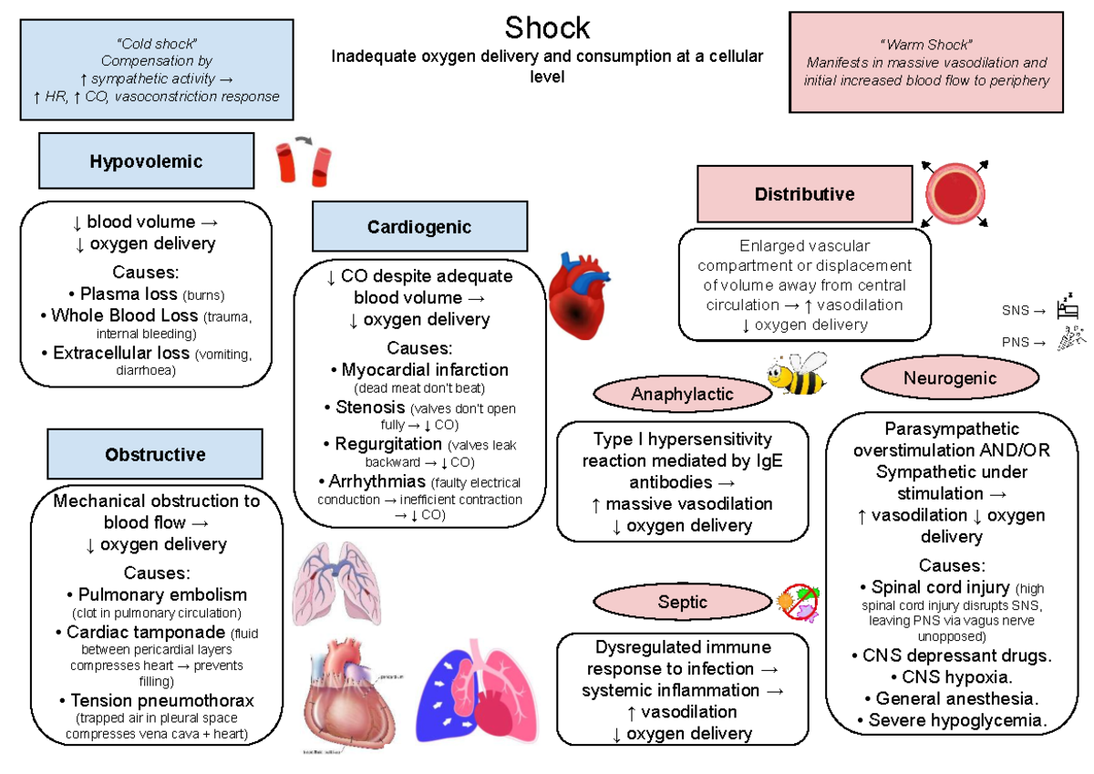 Types of Shock: Understanding Mechanisms and Responses in HR, CO - Studocu