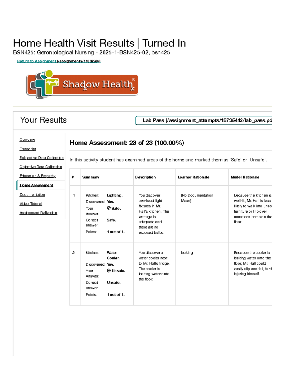BSN425 Home Health Visit Assessment: Robert Hall's Safety Findings ...