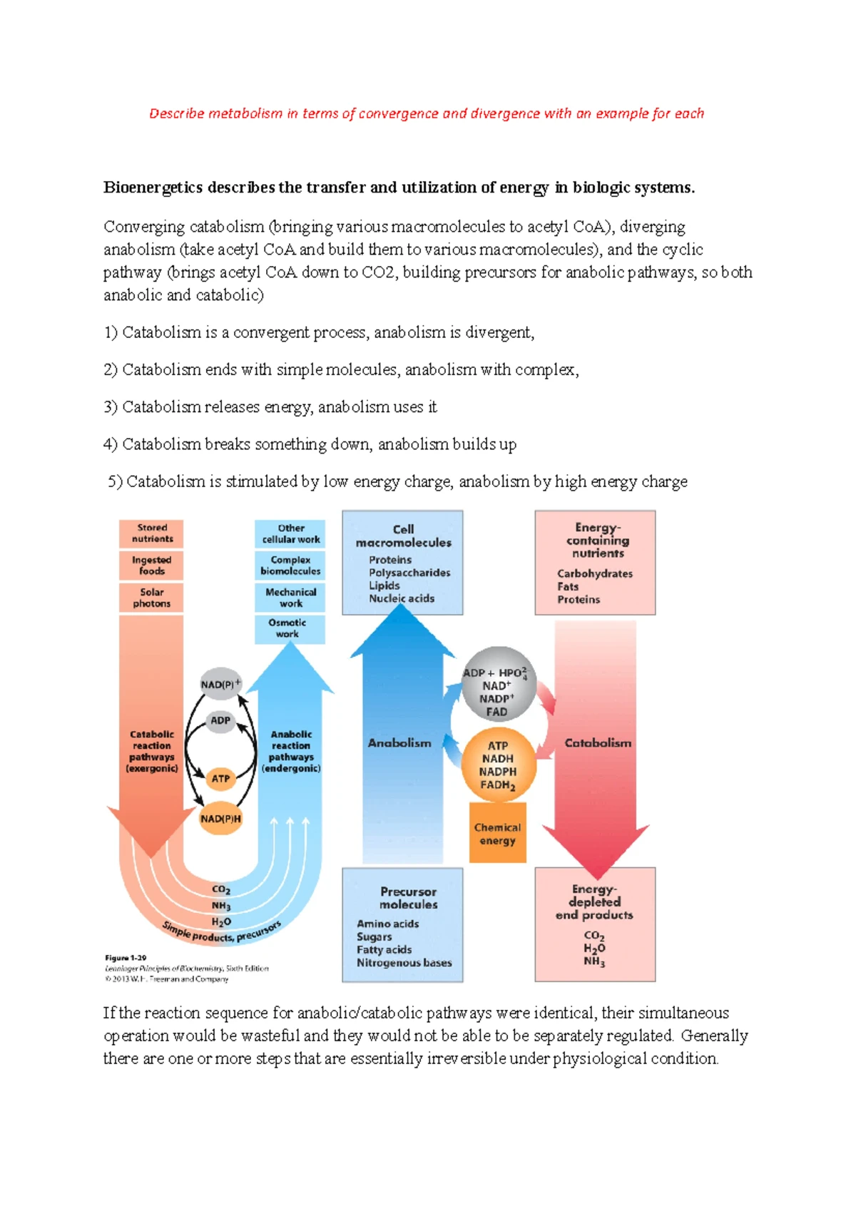 Fatty Acid Synthesis Pathway: Roles of ACC and FAS in Lipogenesis - Studocu