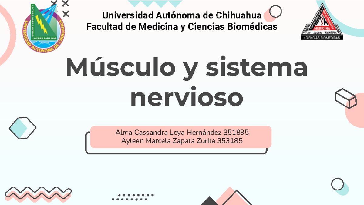 Músculo y sistema nervioso - Músculo y sistema nervioso Alma Cassandra ...
