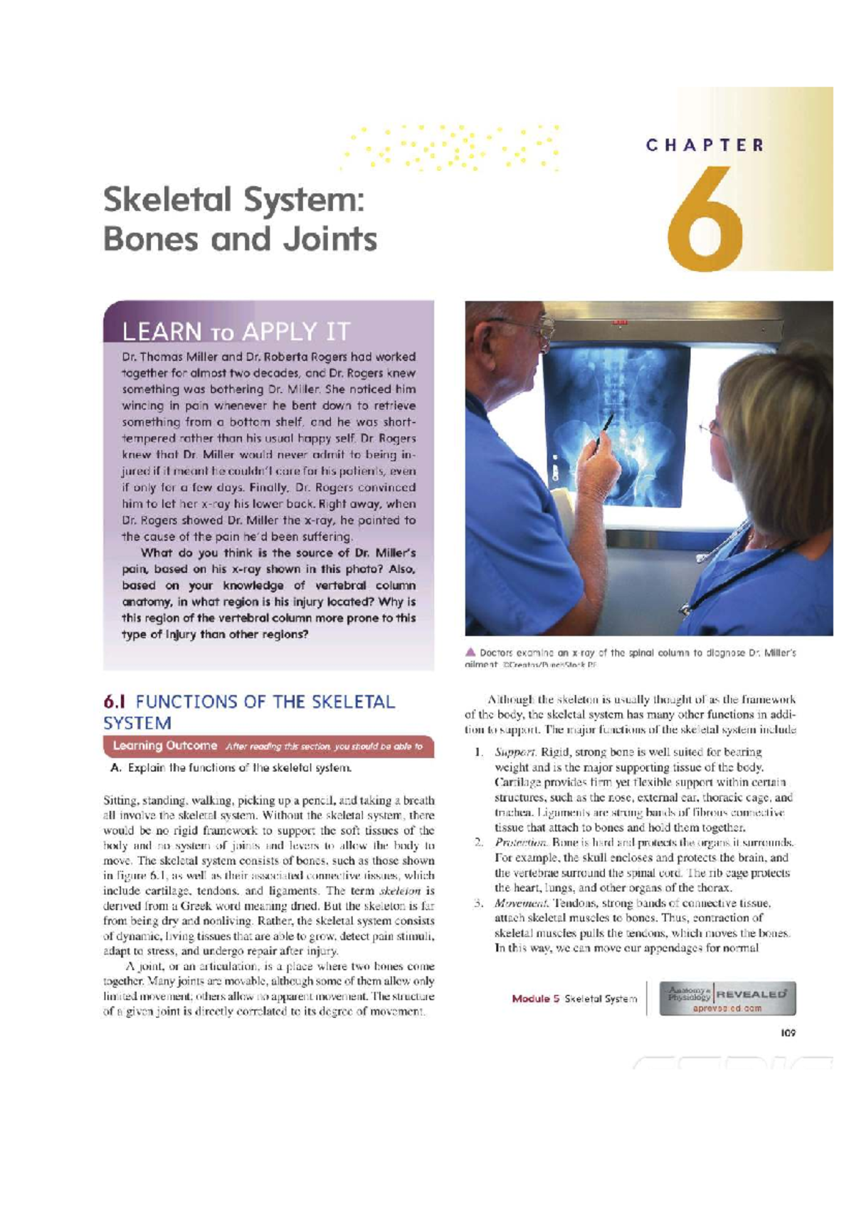 CHAPTER 6: Skeletal System - Bones and Joints Overview - Studocu