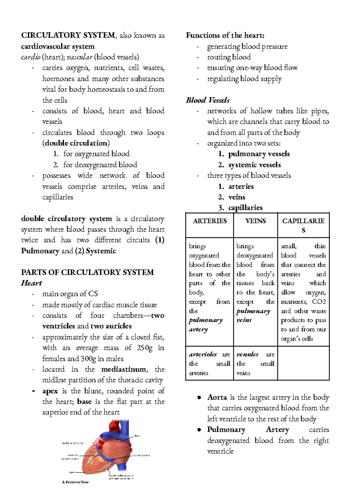 CIRC 101: Circulatory System Overview and Key Concepts Reviewer - Studocu