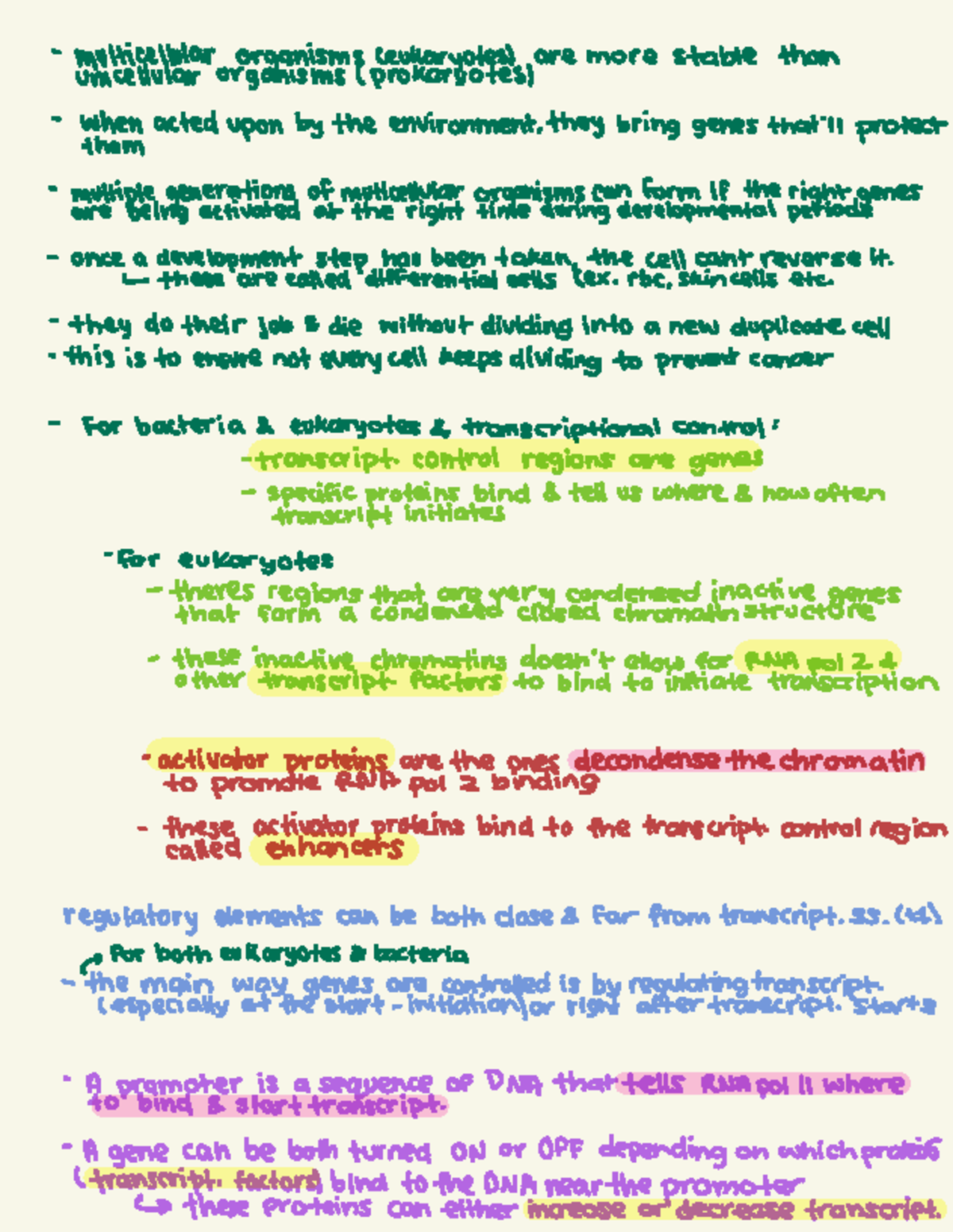 MCB Notes: Gene Regulation in Eukaryotes & Prokaryotes - Studocu