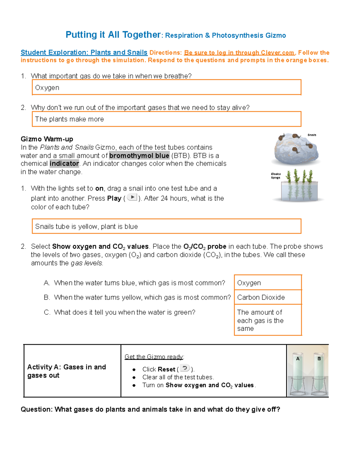 Final Exam Study Guide: Respiration & Photosynthesis Gizmo (Biology 101) - Studocu