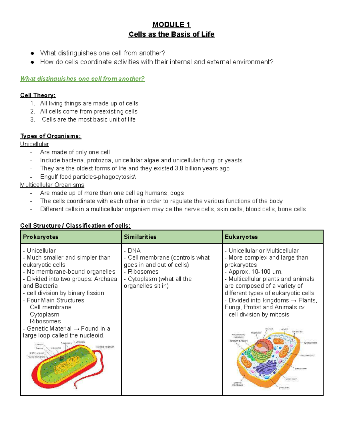 Biology 101: Prelim Summary Notes on Cells and Organism Organization ...
