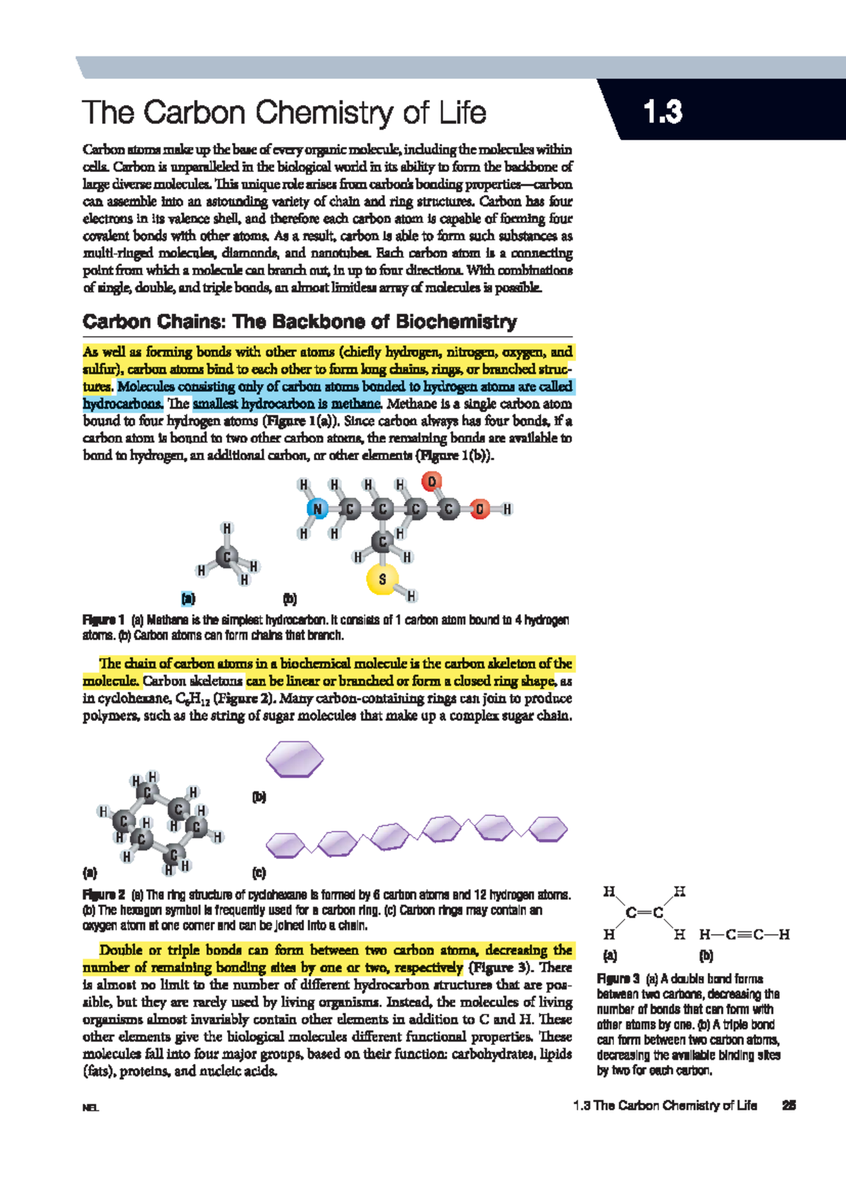 Carbon Chemistry and Functional Groups in Biochemistry (BIO 101) - Studocu