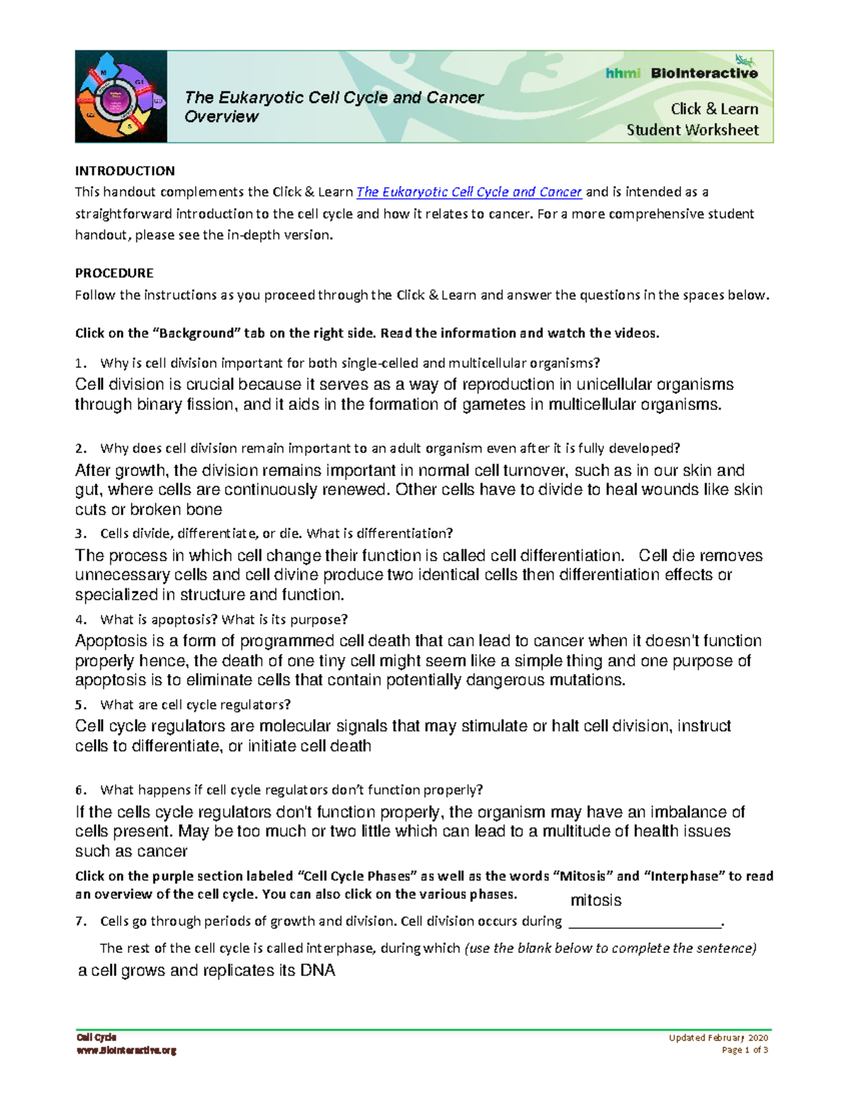 Cell Cycle Overview-Student WS-CL - Click & Learn Student Worksheet The ...