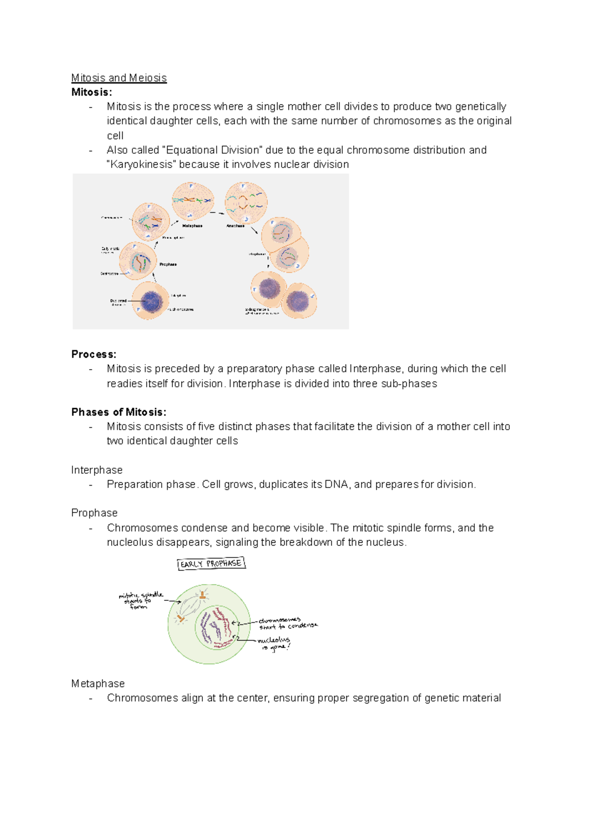 Biology Depth Study: Mitosis, Meiosis, and DNA Replication Insights ...