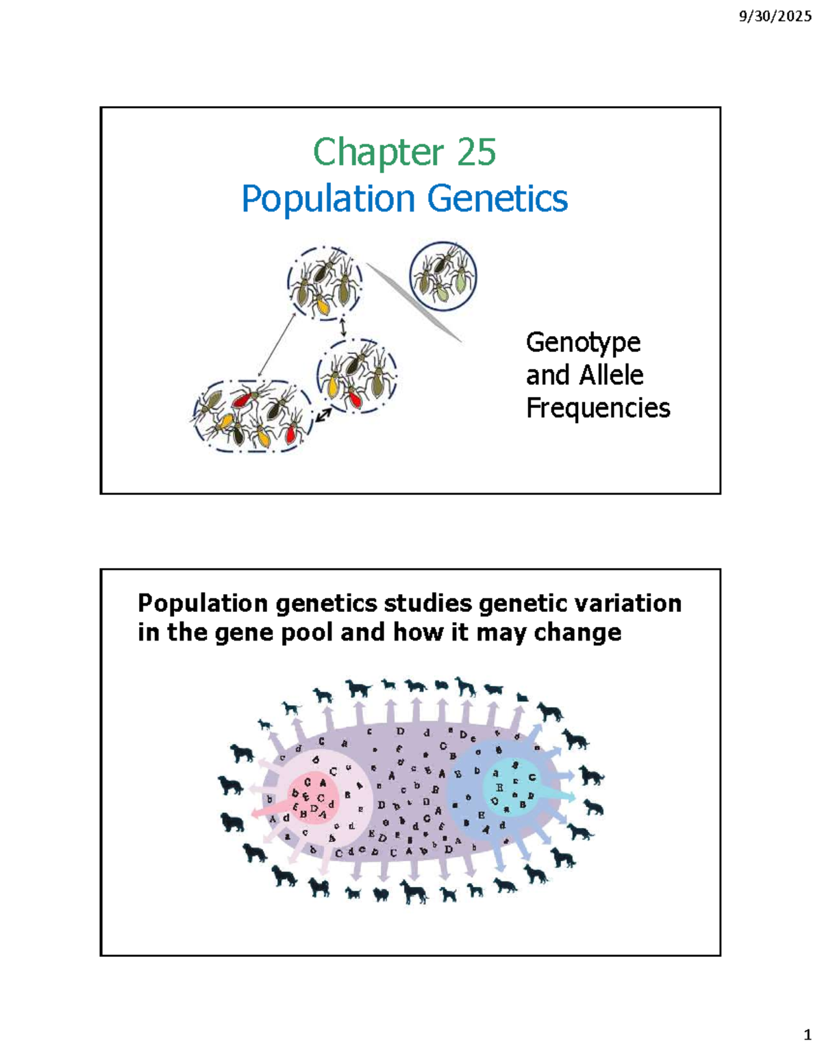 Population Genetics (BIO 101): Genotype Frequencies & Hardy-Weinberg ...