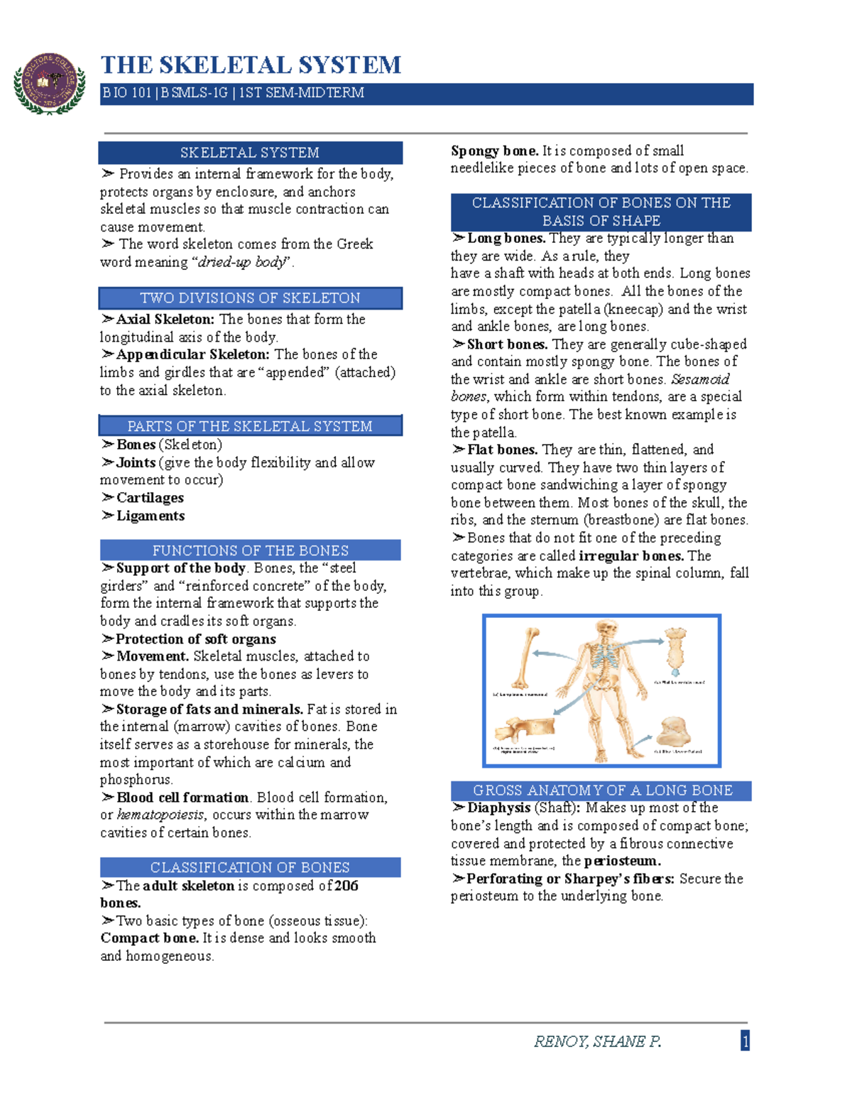 Skeletal System Overview - BIO 101 1st Exam Study Notes - Studocu
