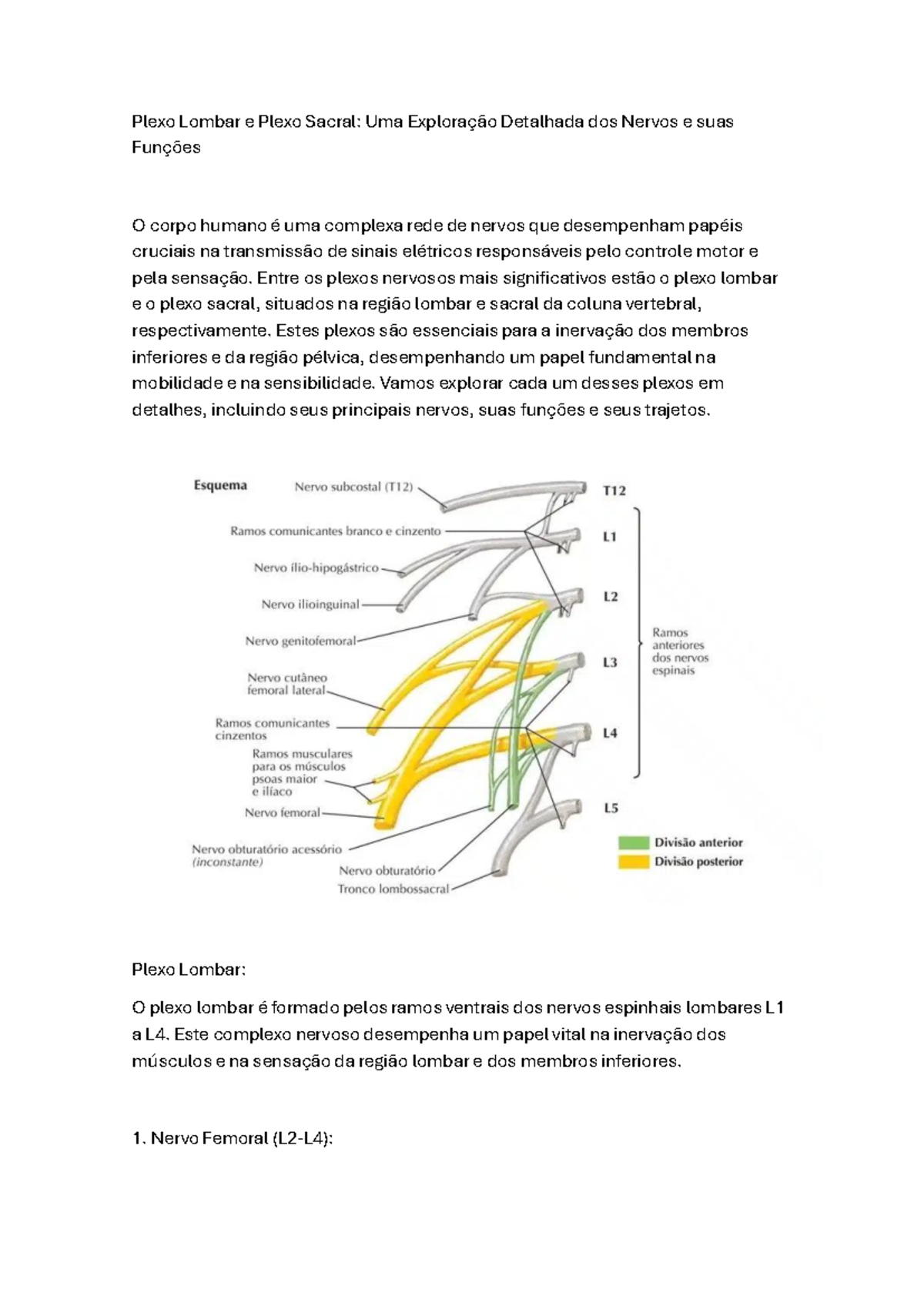 Plexo - ATIVIDADE - Plexo Lombar e Plexo Sacral: Uma Exploração ...