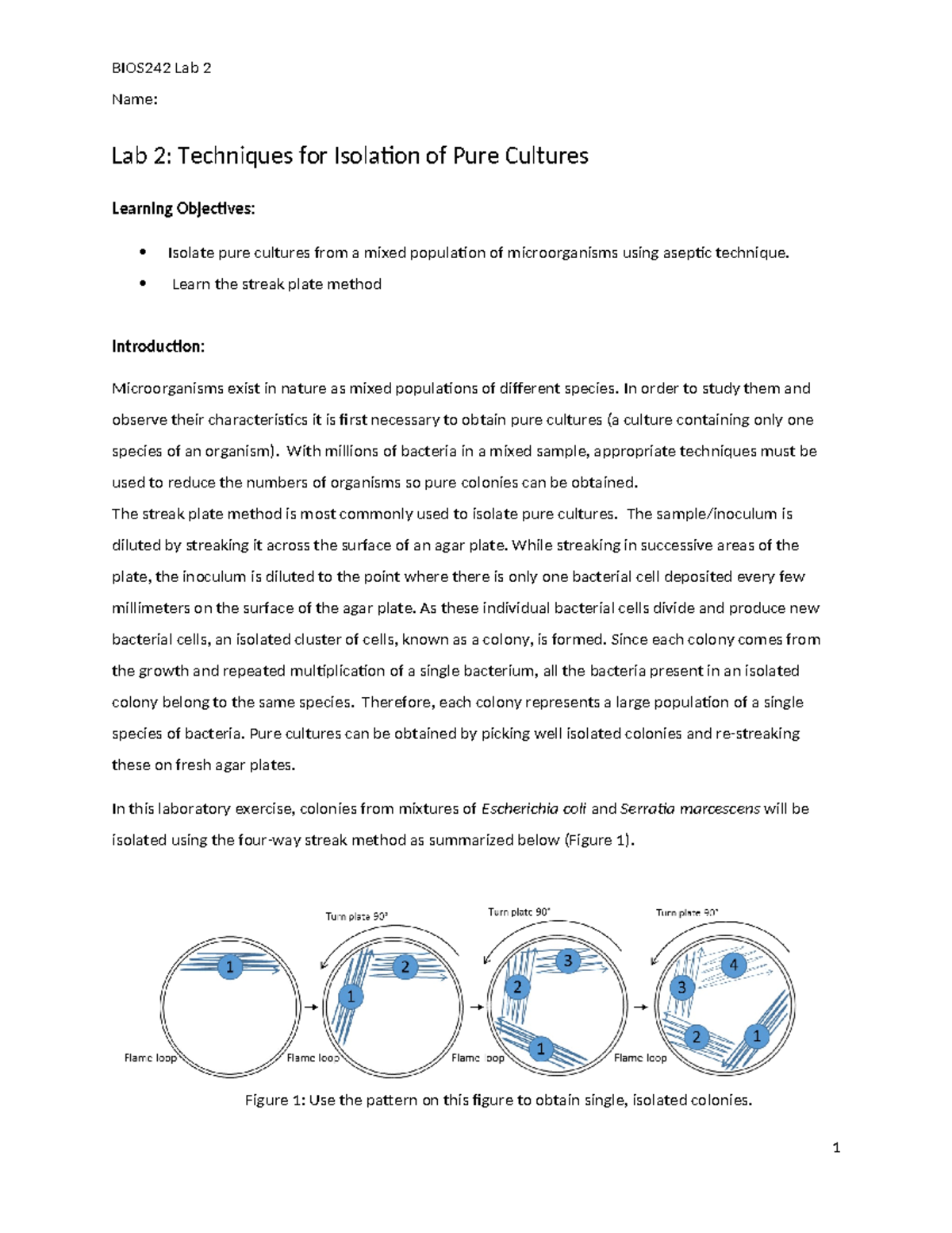 Lab 2: Isolation Techniques for Pure Cultures Using Streak Method - Studocu