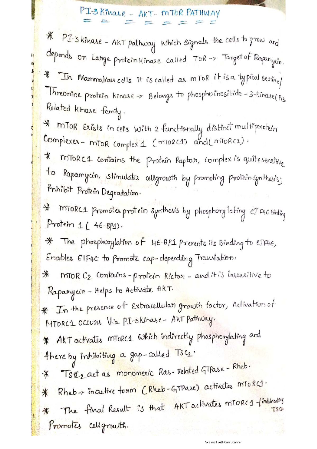 PI-3 Kinase - AKT - mTOR Pathway Overview and Function - Studocu