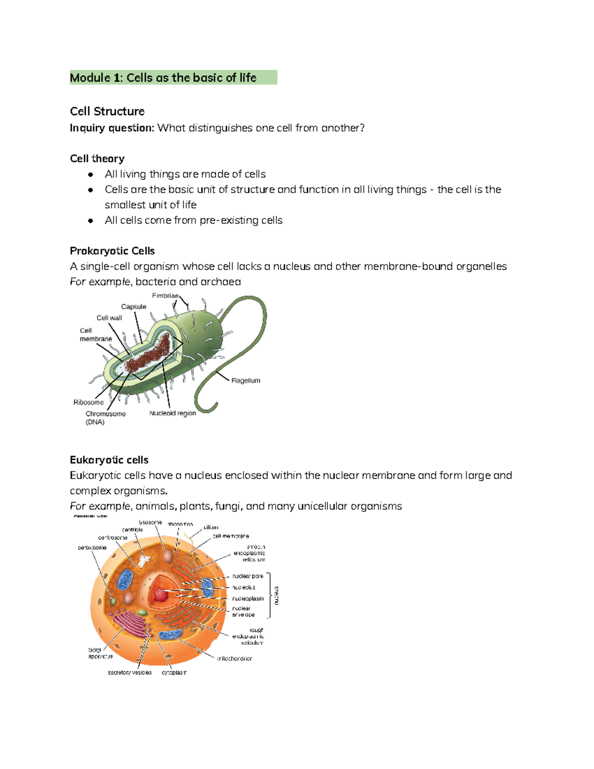 Biology Year 11: Comprehensive Notes on Cell Structure & Function - Studocu