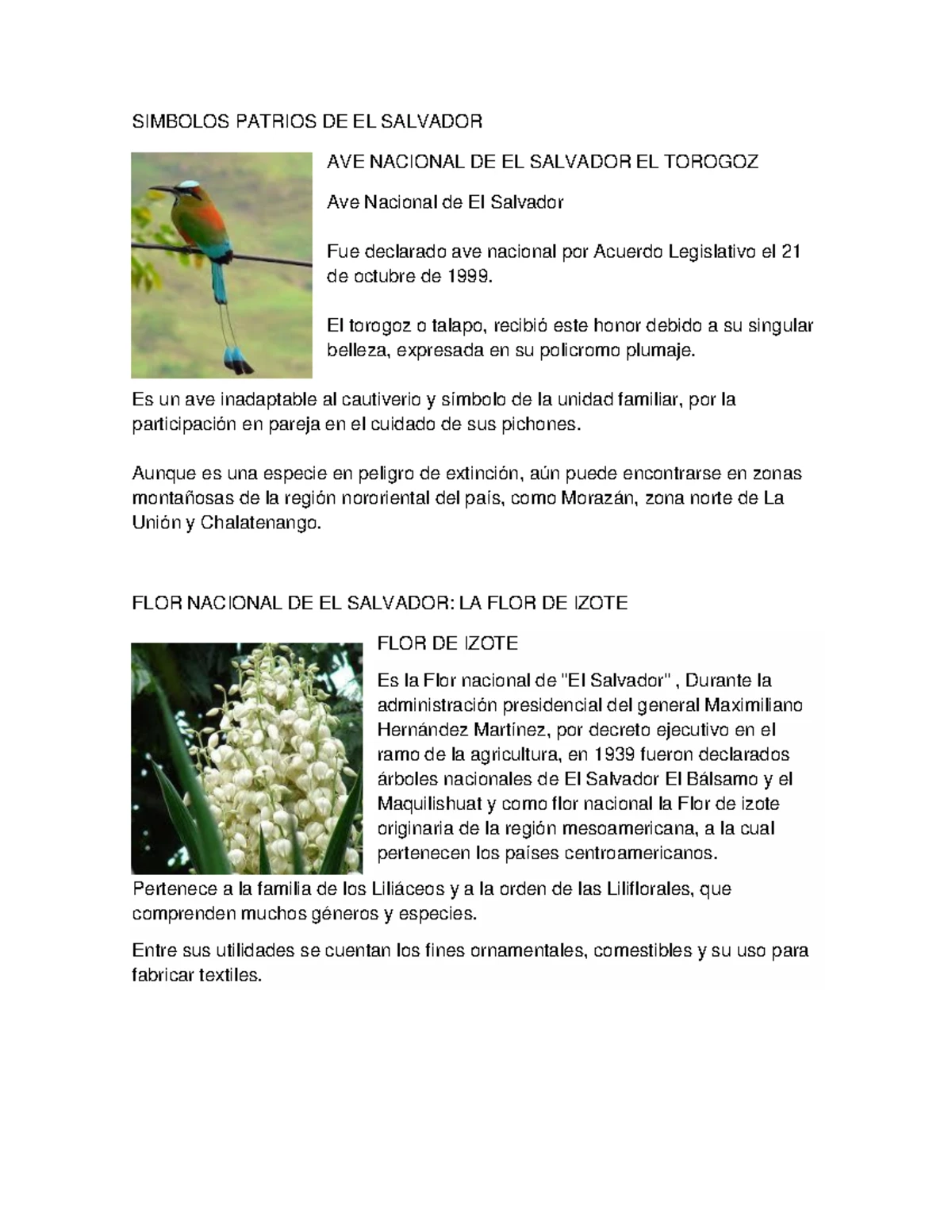 Árbol Nacional de El Salvador: El Maquilishuat y su Significado - Studocu