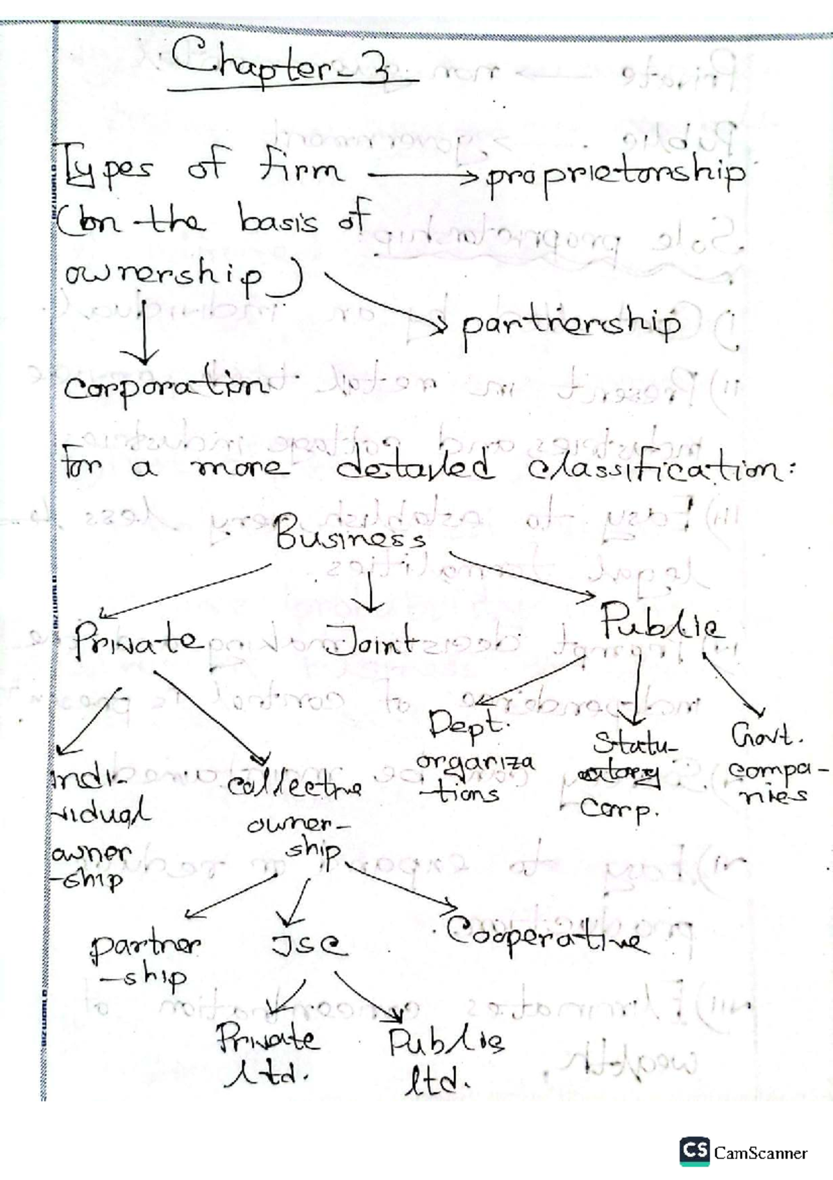 Organizational Forms and Motives: Types of Firm Ownership (CS 120B ...