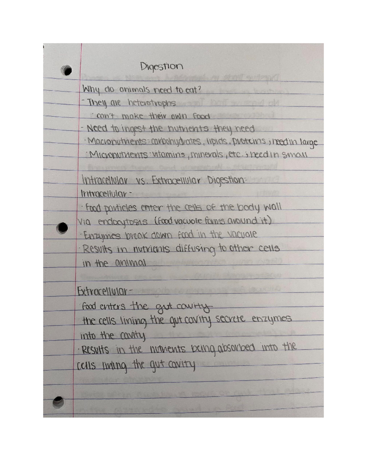 Zoology Lecture Notes - Key Concepts and Insights - Studocu