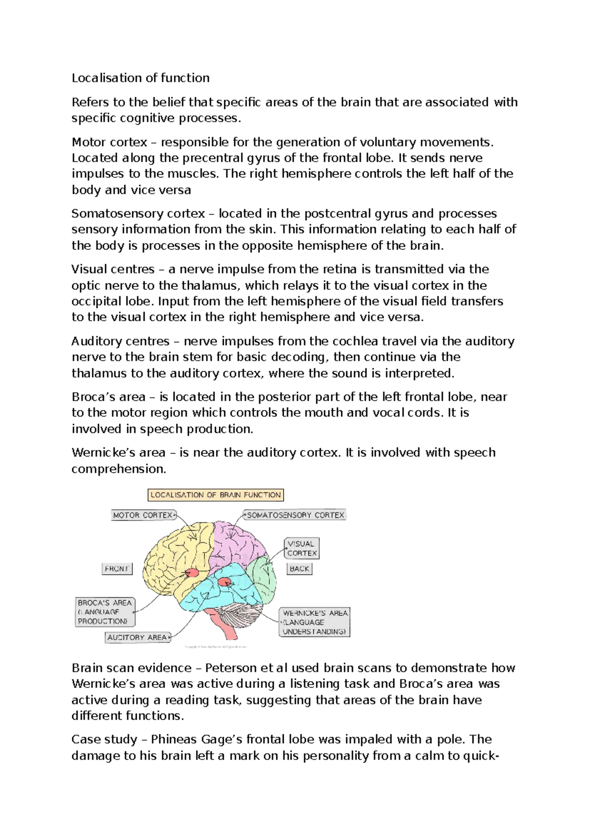 Localisation of Function: Brain Areas & Their Cognitive Roles - Studocu