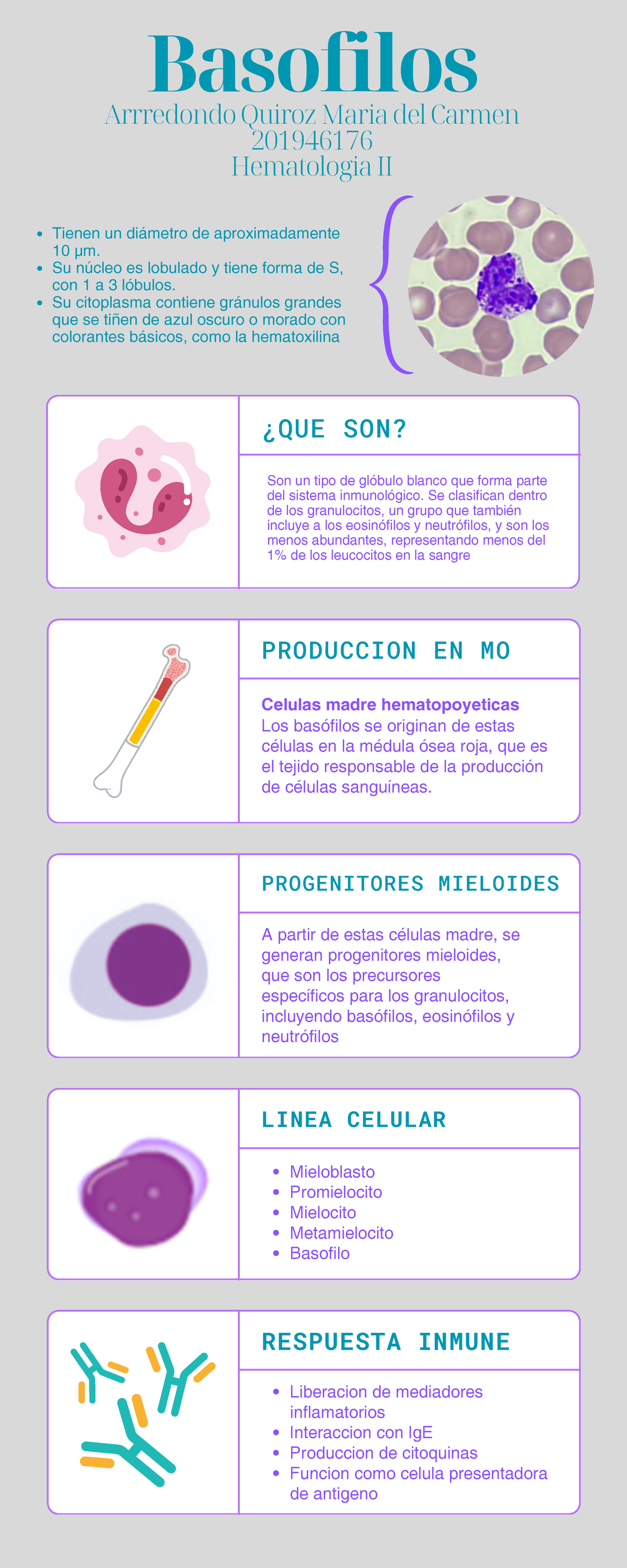 Basófilos: Morfología y Función en Hematología II 201946176 - Studocu
