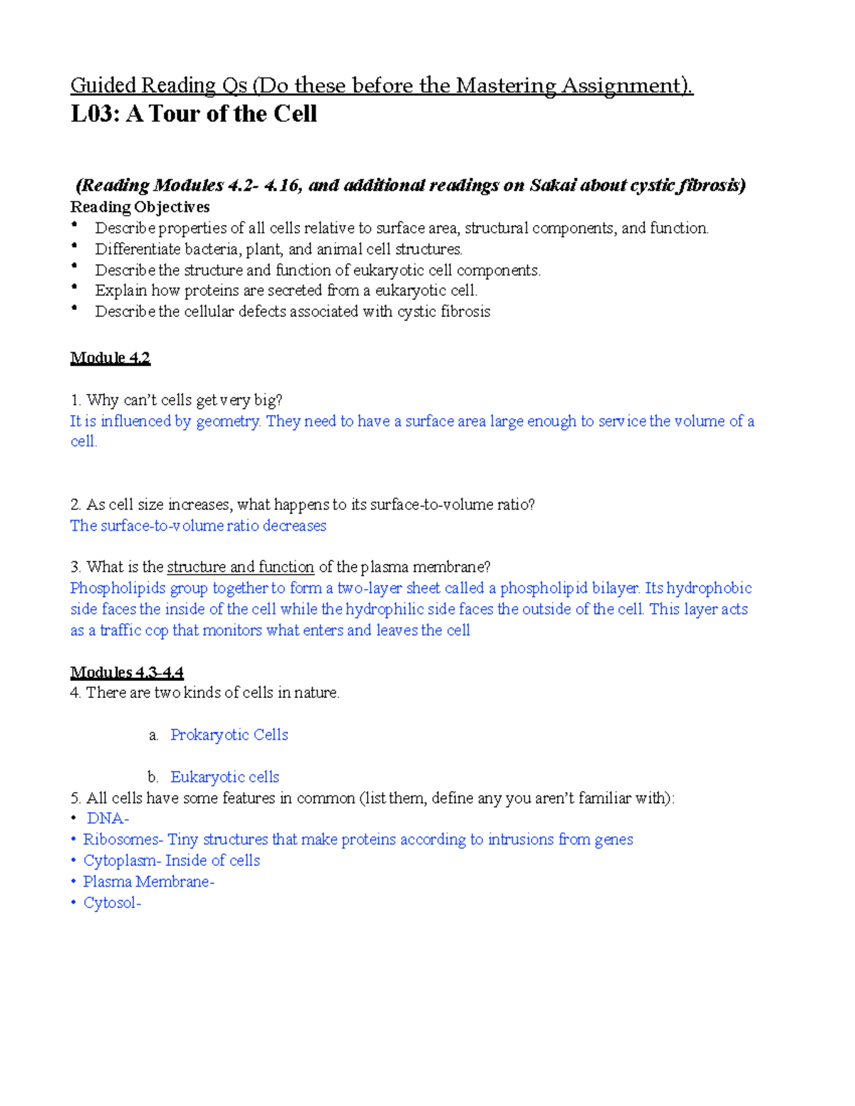 Lesson 3 Guided Reading Question - Guided Reading Qs (Do these before ...