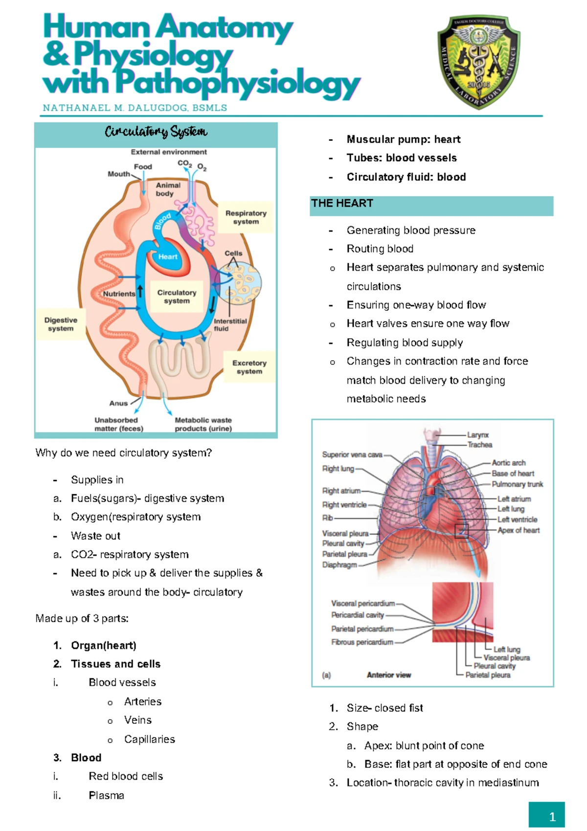ANATOMY AND PHYSIOLOGY WITH PATHOPHYSIOLOGY- Nervous System (notes ...
